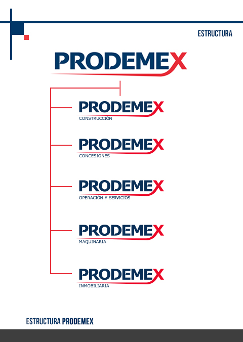 PRODEMEX | Estrucutra Corporativa